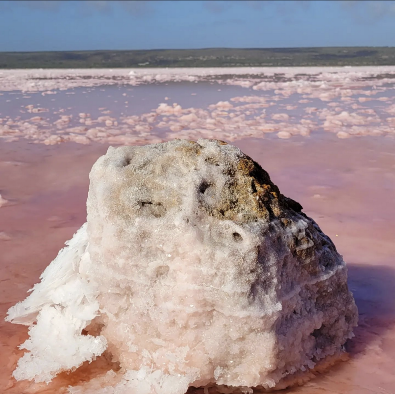 Lac Rose : une merveille naturelle unique à découvrir au Sénégal ...