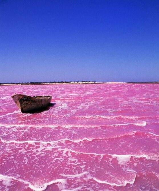 Lac Rose : une merveille naturelle unique à découvrir au Sénégal ...
